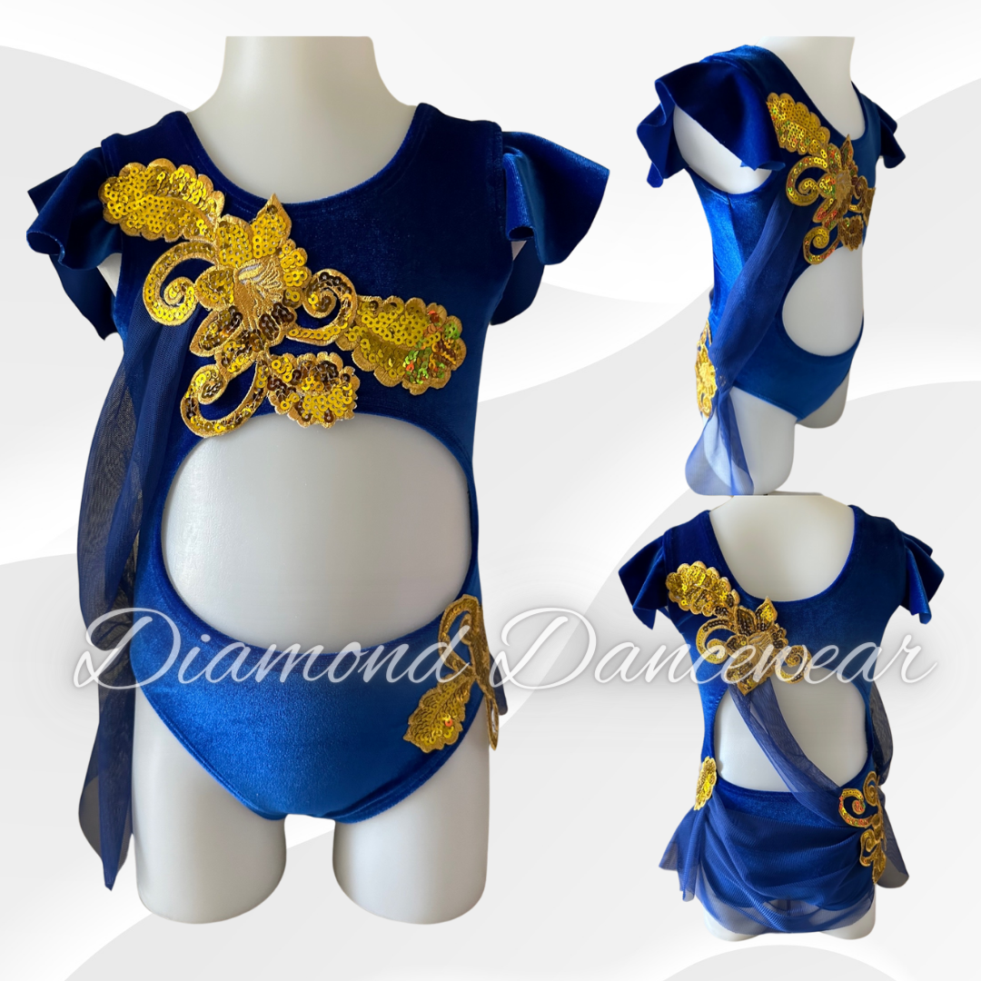Girls Size 4 to 6 - Royal Blue and Gold Dance Costume - In Stock ...